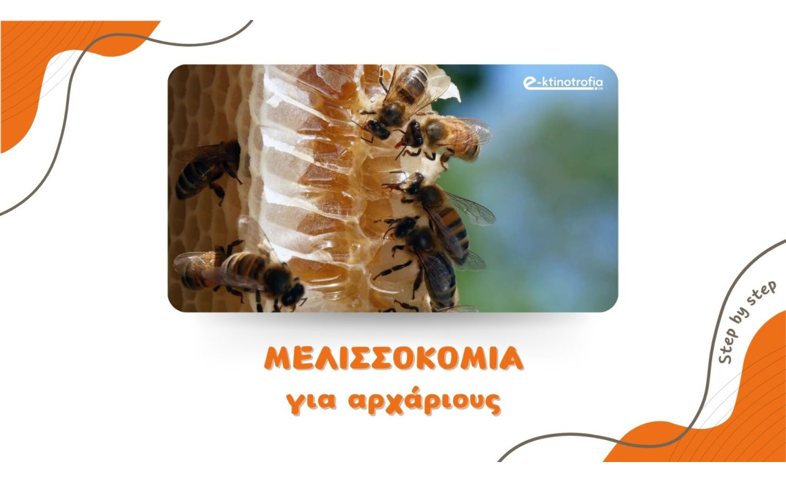Μελισσοκομία για αρχάριους