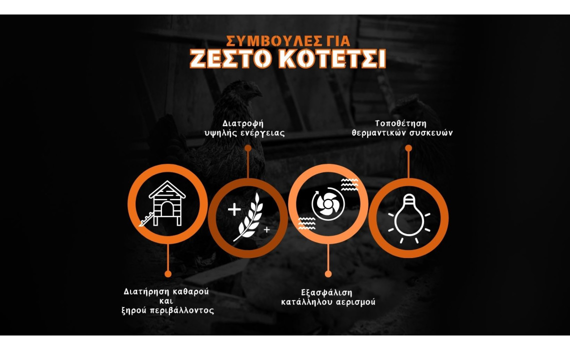 Συμβουλές για ζεστό κοτέτσι