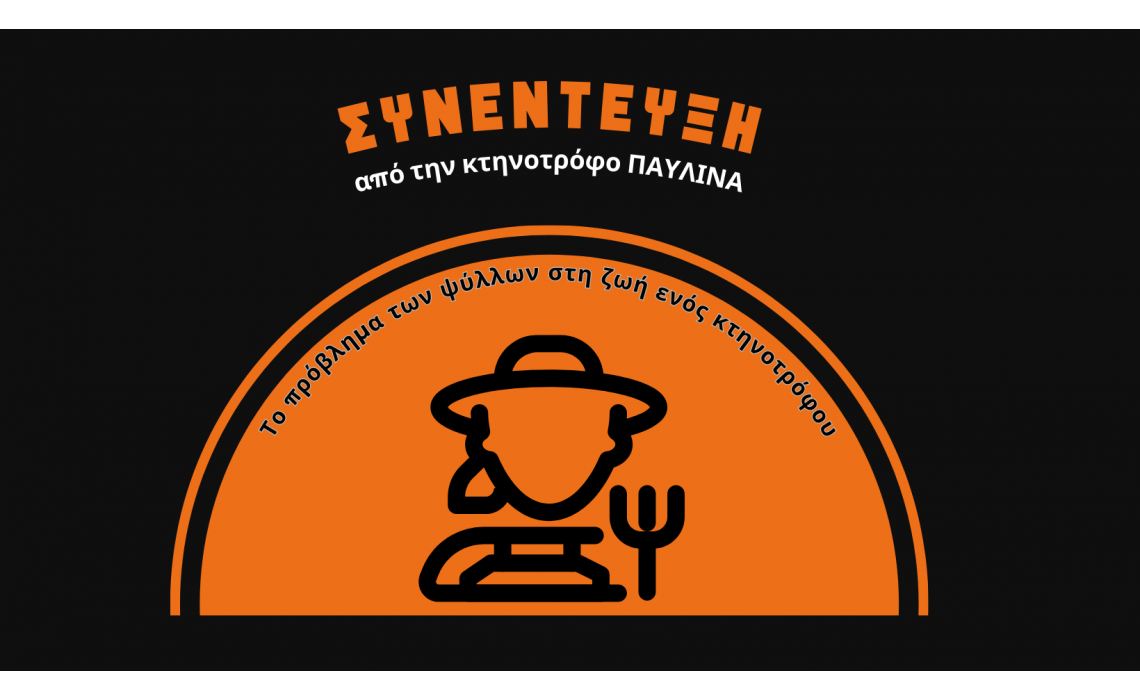Συνέντευξη με την Παυλίνα